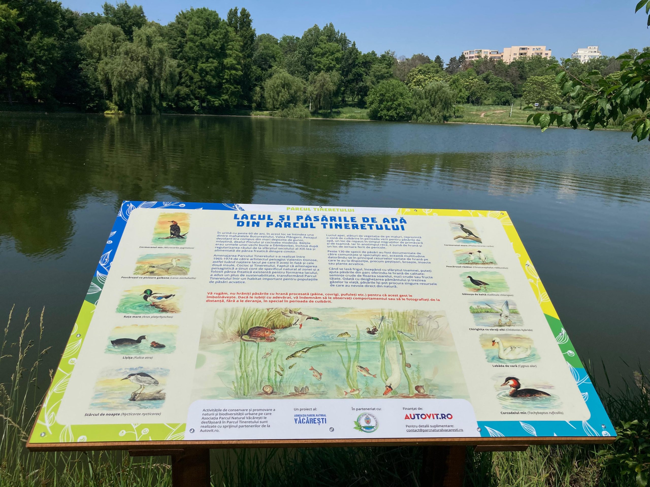 Sărbătorim natura din Parcul Tineretului cu un nou traseu tematic ...