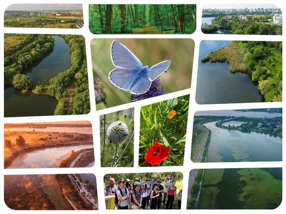 Parcul Natural București